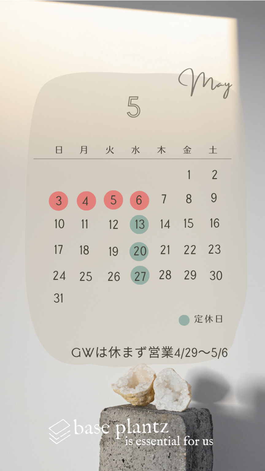 baseplantzΙ(ベースプランツ) 【北摂の観葉植物店】baseplantz 2026年5月の営業カレンダーと最新イベント情報 ...